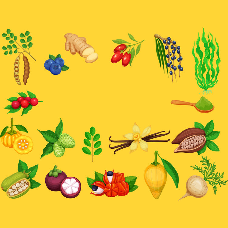 Goji Maroc Boutique en ligne des produits BIO et 100% naturels – GOJI MAROC