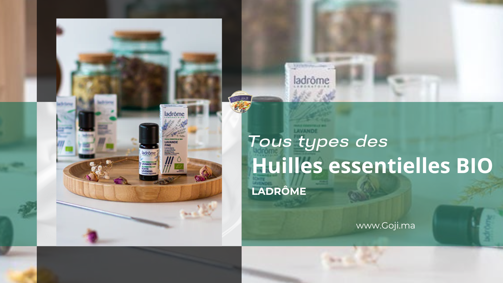 Goji Maroc Boutique en ligne des produits BIO et 100% naturels – GOJI MAROC