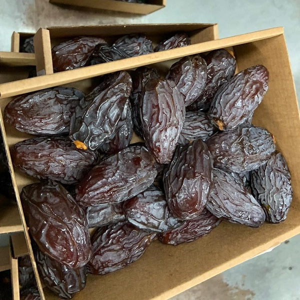 Dattes Medjool, Majhoul, Jumbo Bio – GOJI MAROC